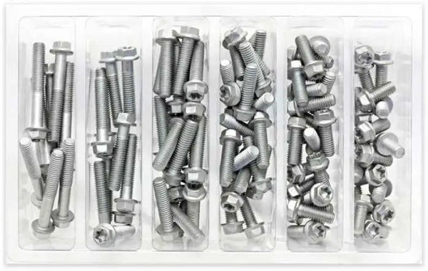 SV-M6EURO BOLT M6 Euro Torx Flange Bolt Assortment 100 Piece Kit – RV and Auto Parts