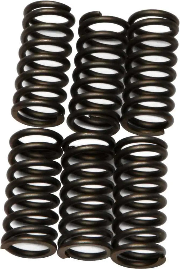 Csk80 Ebc Clutch Springs – RV and Auto Parts
